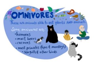 Organisms in an Ecosystem powerpoint | PPTX