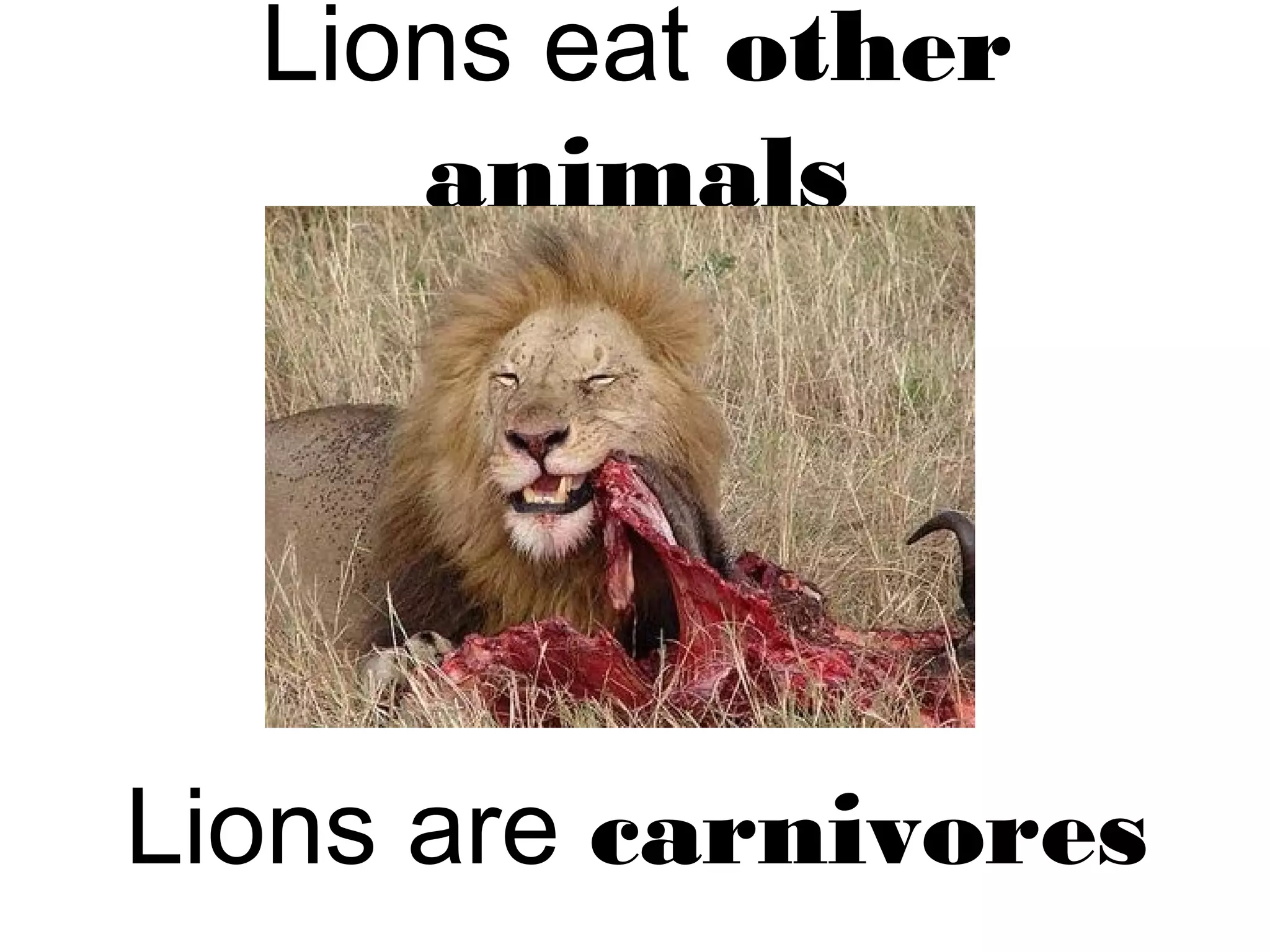 Herbivores, carnivores and omnivores | PPT