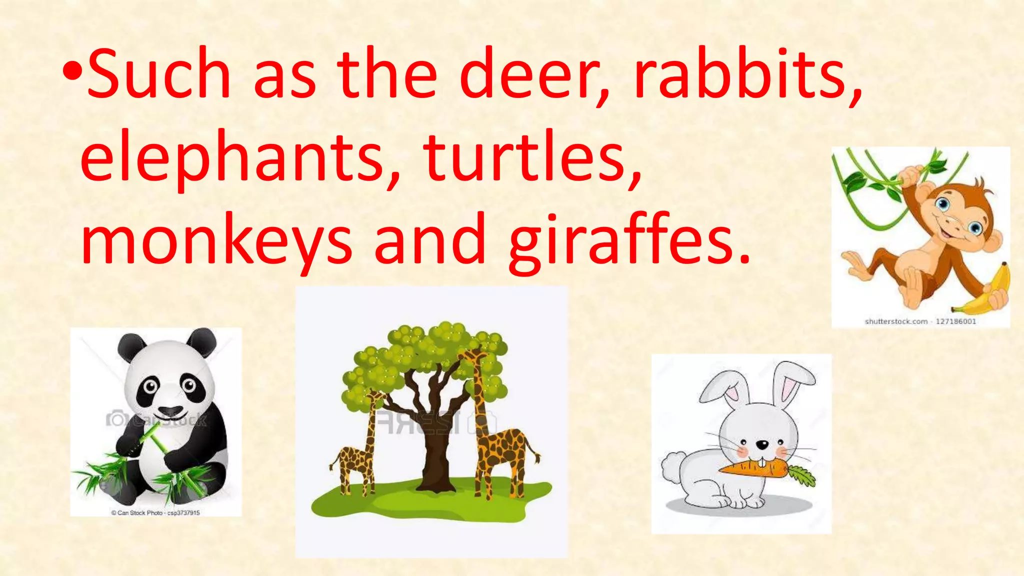 Herbivores, carnivores and omnivores | PPTX