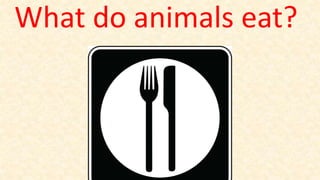 Herbivores, carnivores and omnivores | PPTX