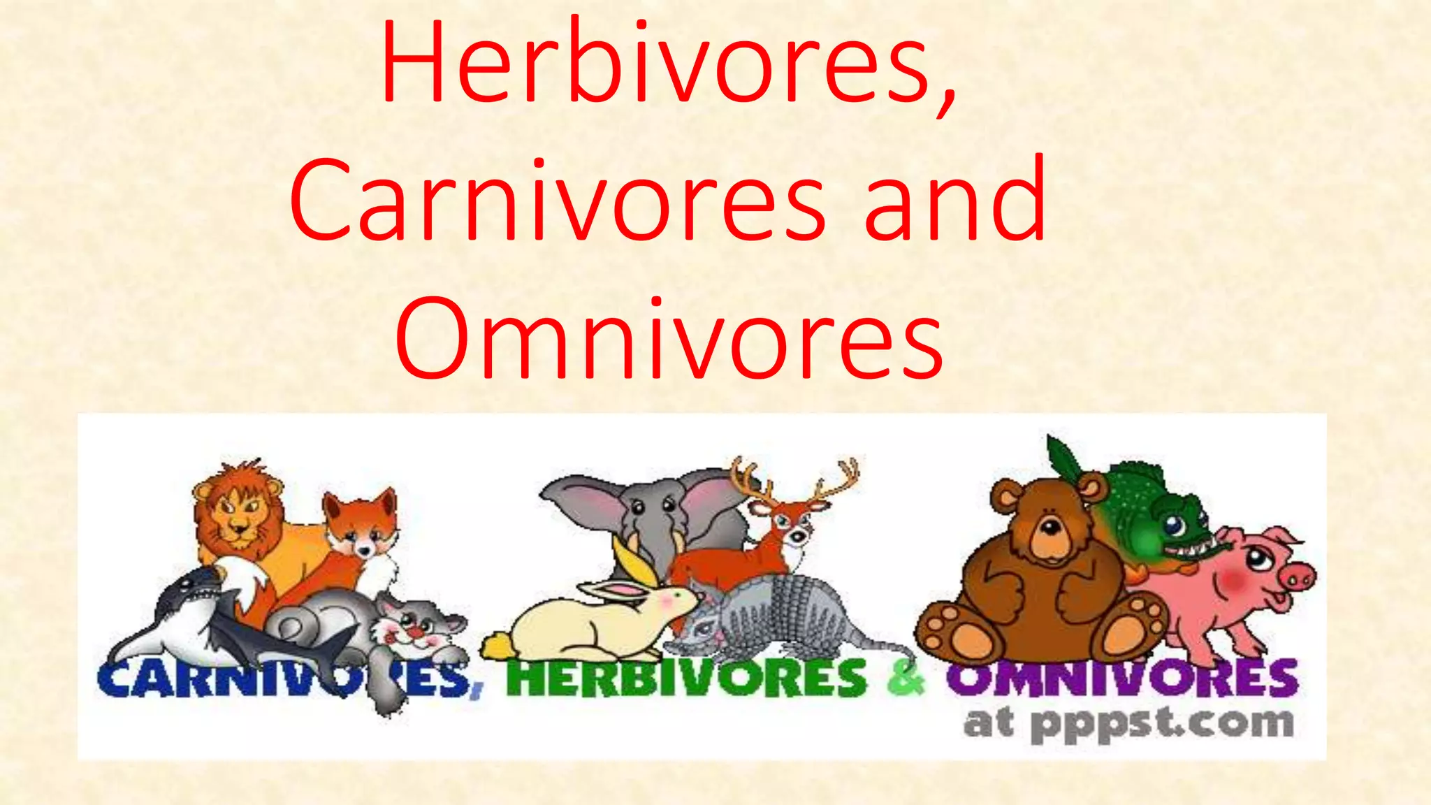 Herbivores, carnivores and omnivores | PPTX | Reptiles | Pets