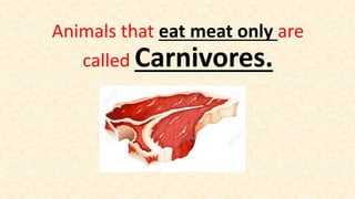 Herbivores, carnivores and omnivores | PPTX