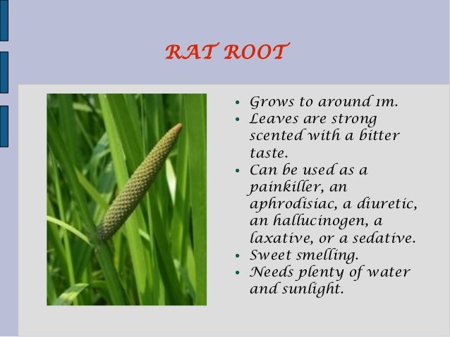 Herbology presentation