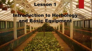 Herbology presentation | PPTX