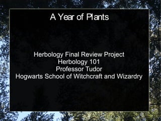 Herbology review | PPT