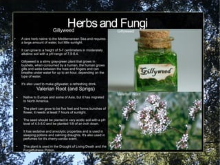 Herbology review | PPT