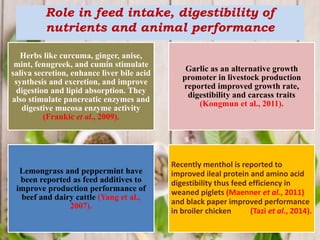 NUTRITIONAL IMPACT OF HERBS ON ANIMALS.pptx