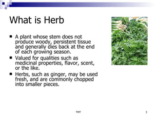 Herbs Spices | PPT