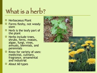 Herbs | PPT