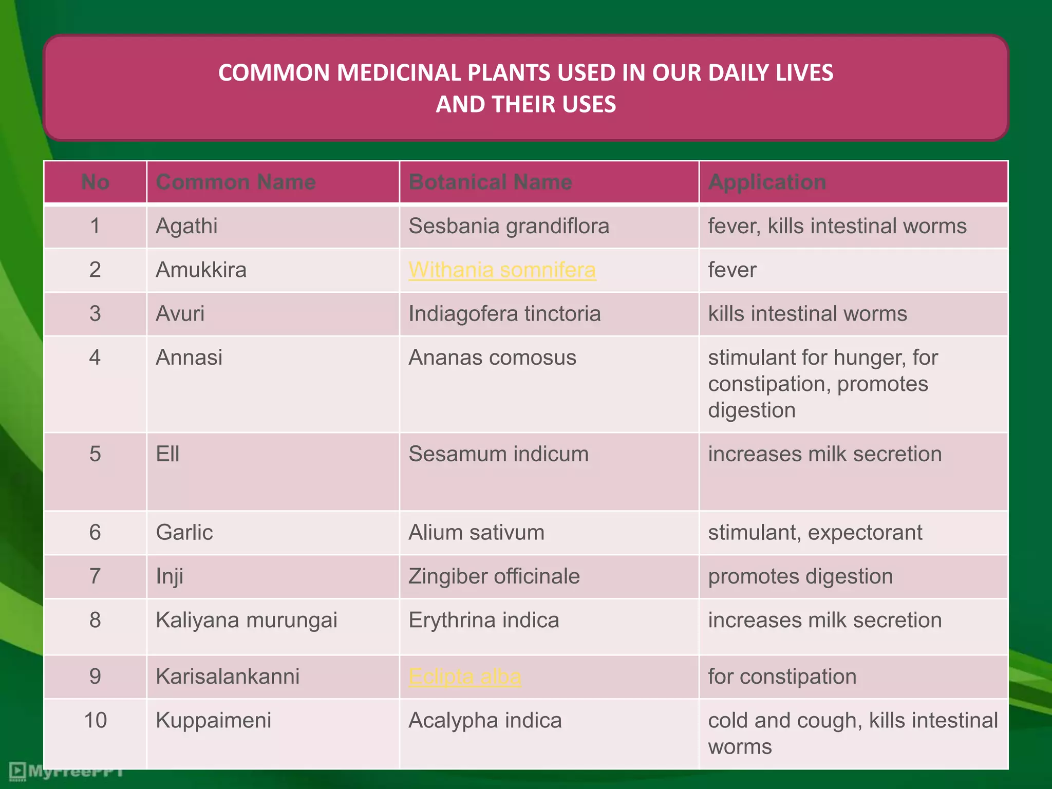 Medicinal plants and their importance | PPTX