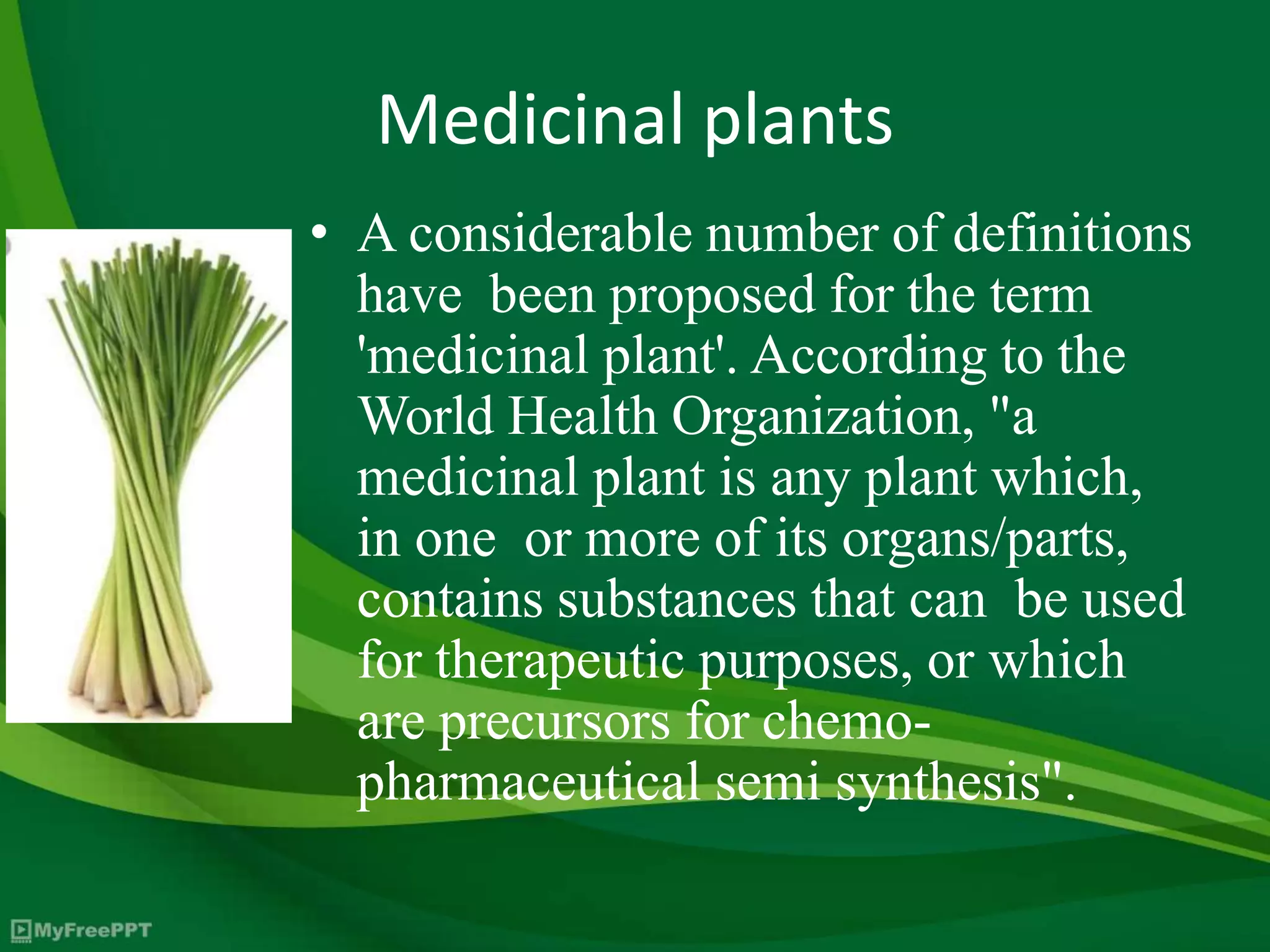 Medicinal plants and their importance | PPTX
