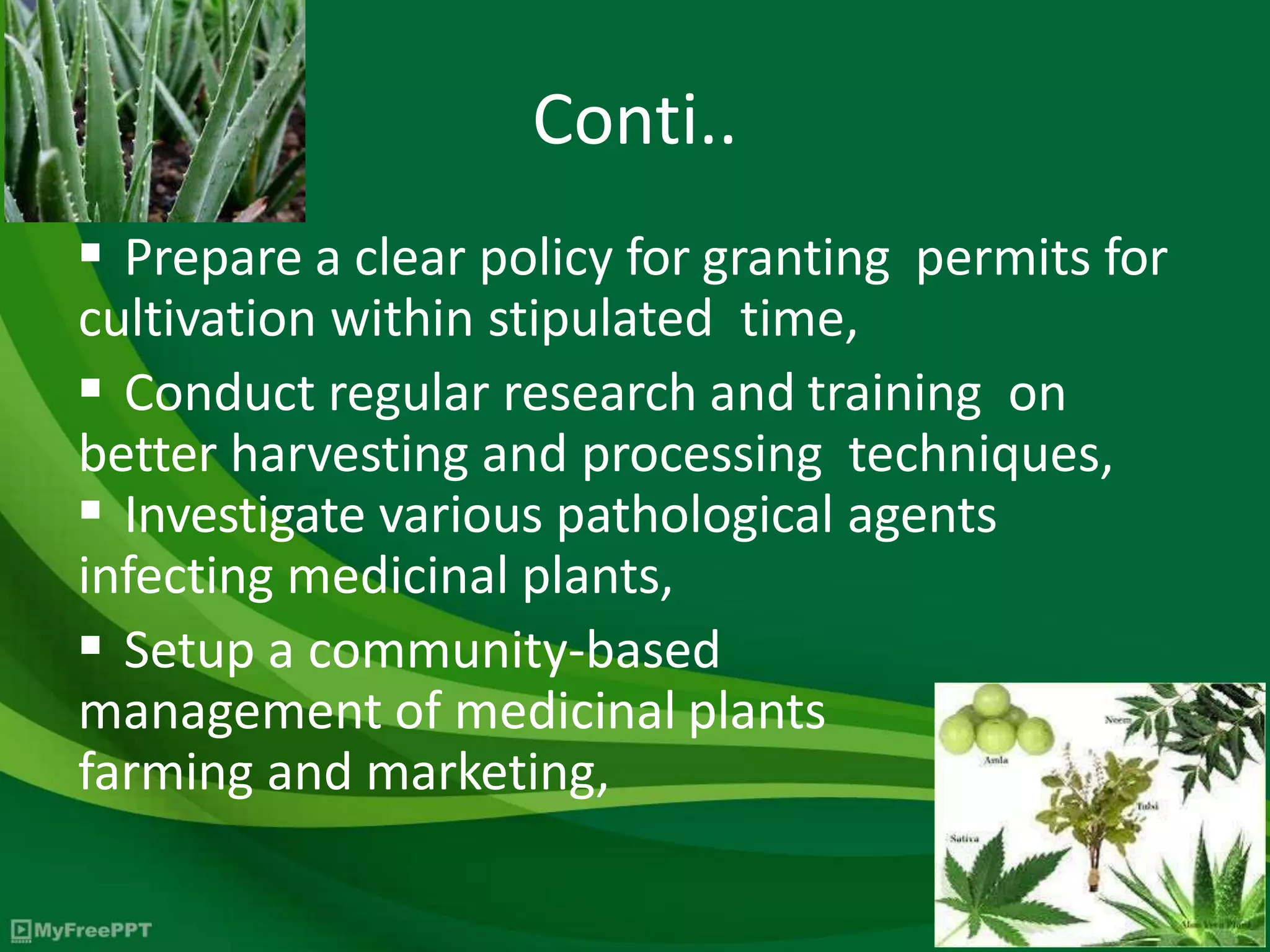 Medicinal plants and their importance | PPTX
