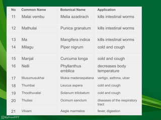 Medicinal plants and their importance | PPTX
