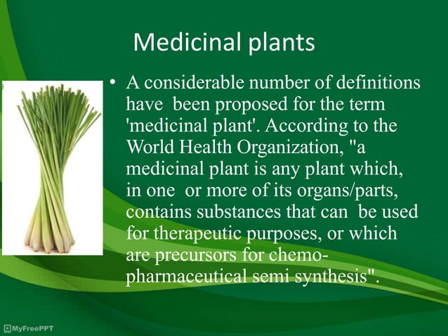 Medicinal plants and their importance | PPTX | Herbs and Supplements ...