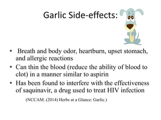 Herbs and herbal remedies | PPTX