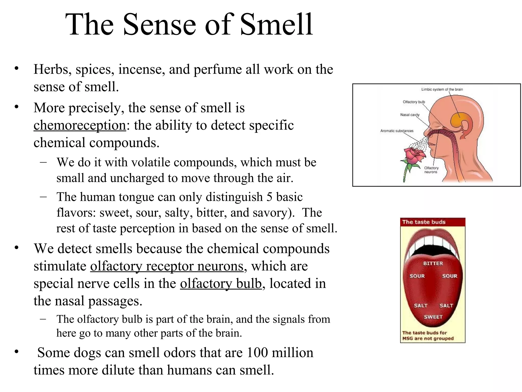 Herbs and spices | PPT