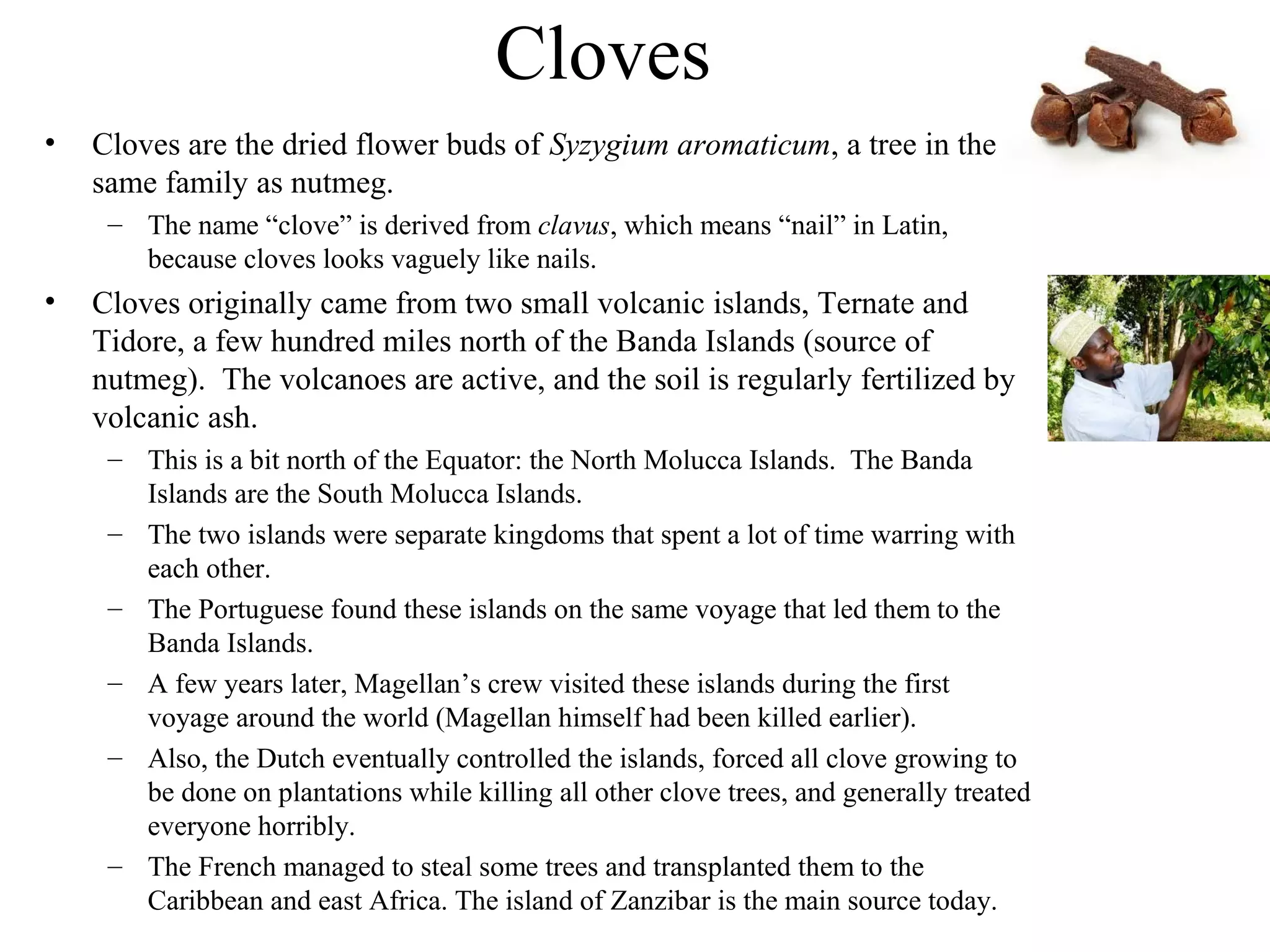 Herbs and spices | PPT