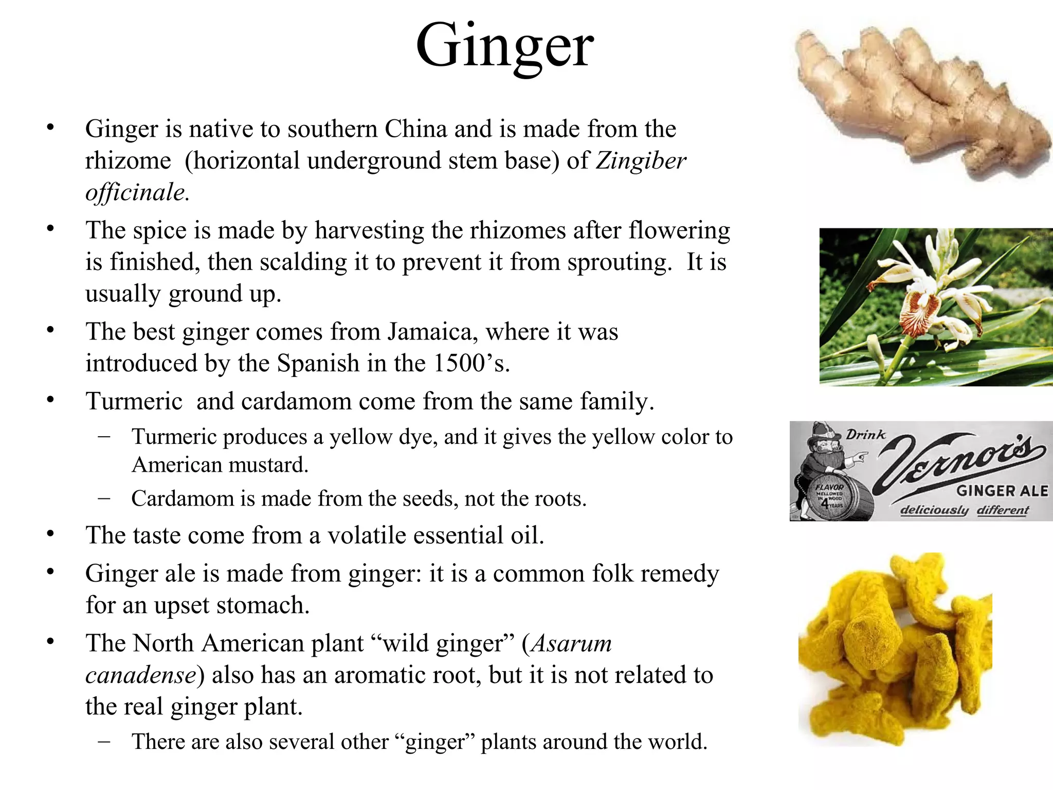 Herbs and spices | PPT