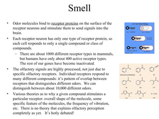 Herbs and spices | PPT
