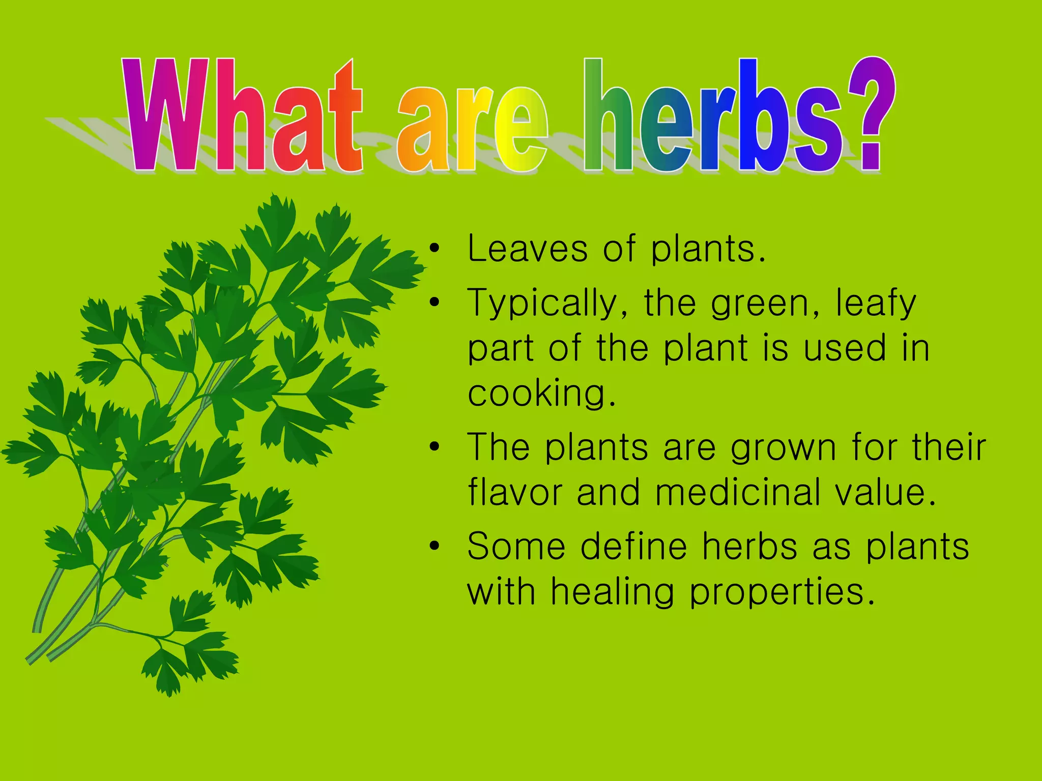 herbs_and_spices.ppt_nov_9.ppt