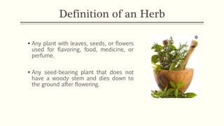 Culinary herbs and spices for flavor and health | PPT