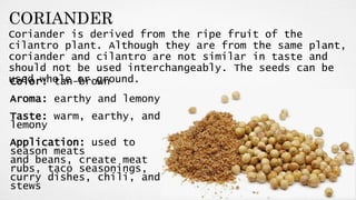 Herbs and Spices and its classifications | PPTX