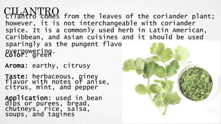 Herbs and Spices and its classifications | PPTX