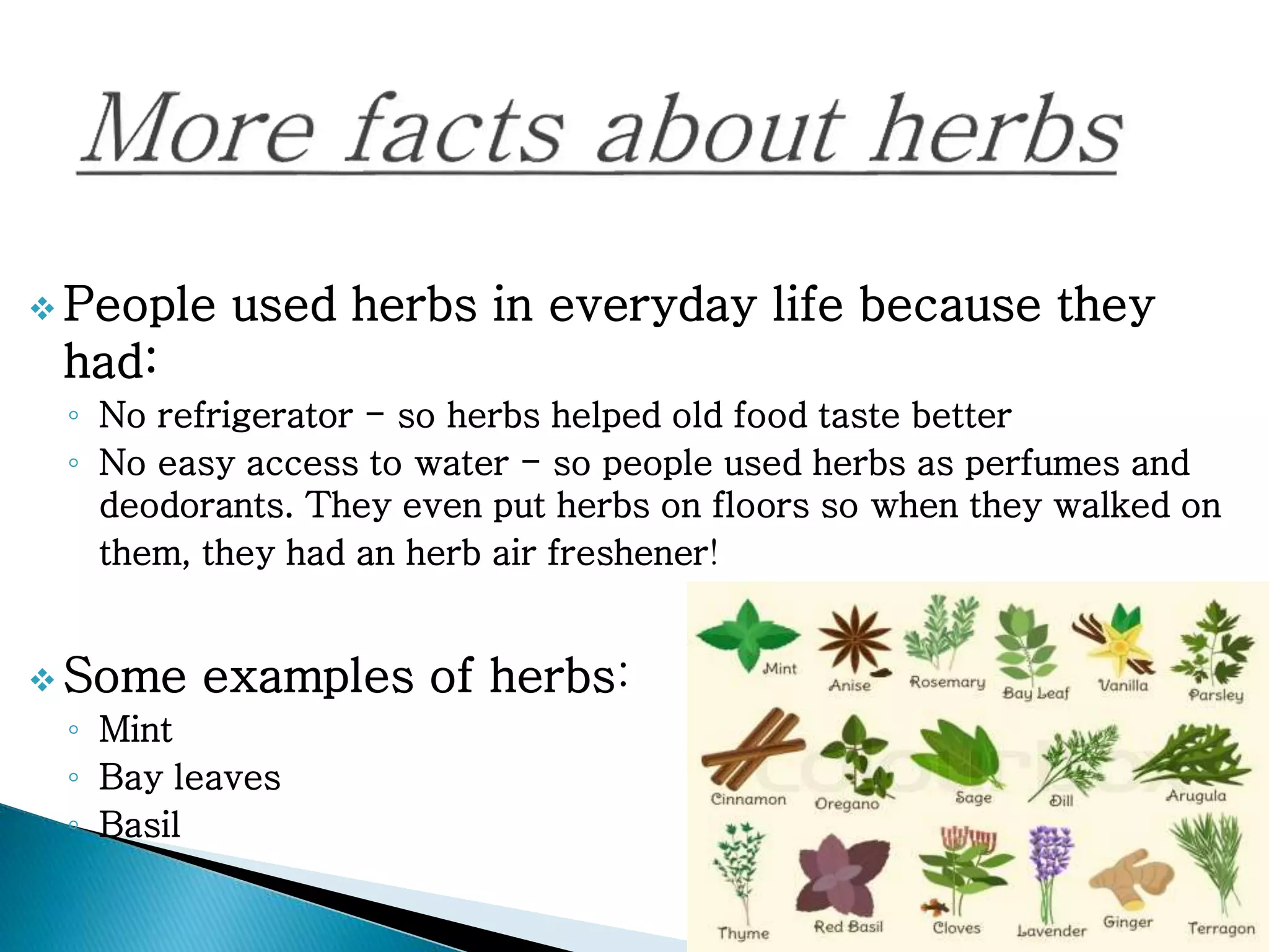 Herbs and spices | PPT