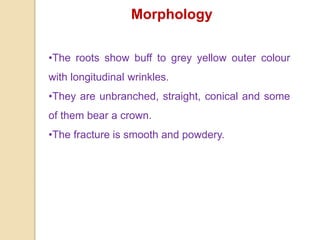 Herbs as health food | PPTX