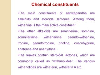 Herbs as health food | PPTX