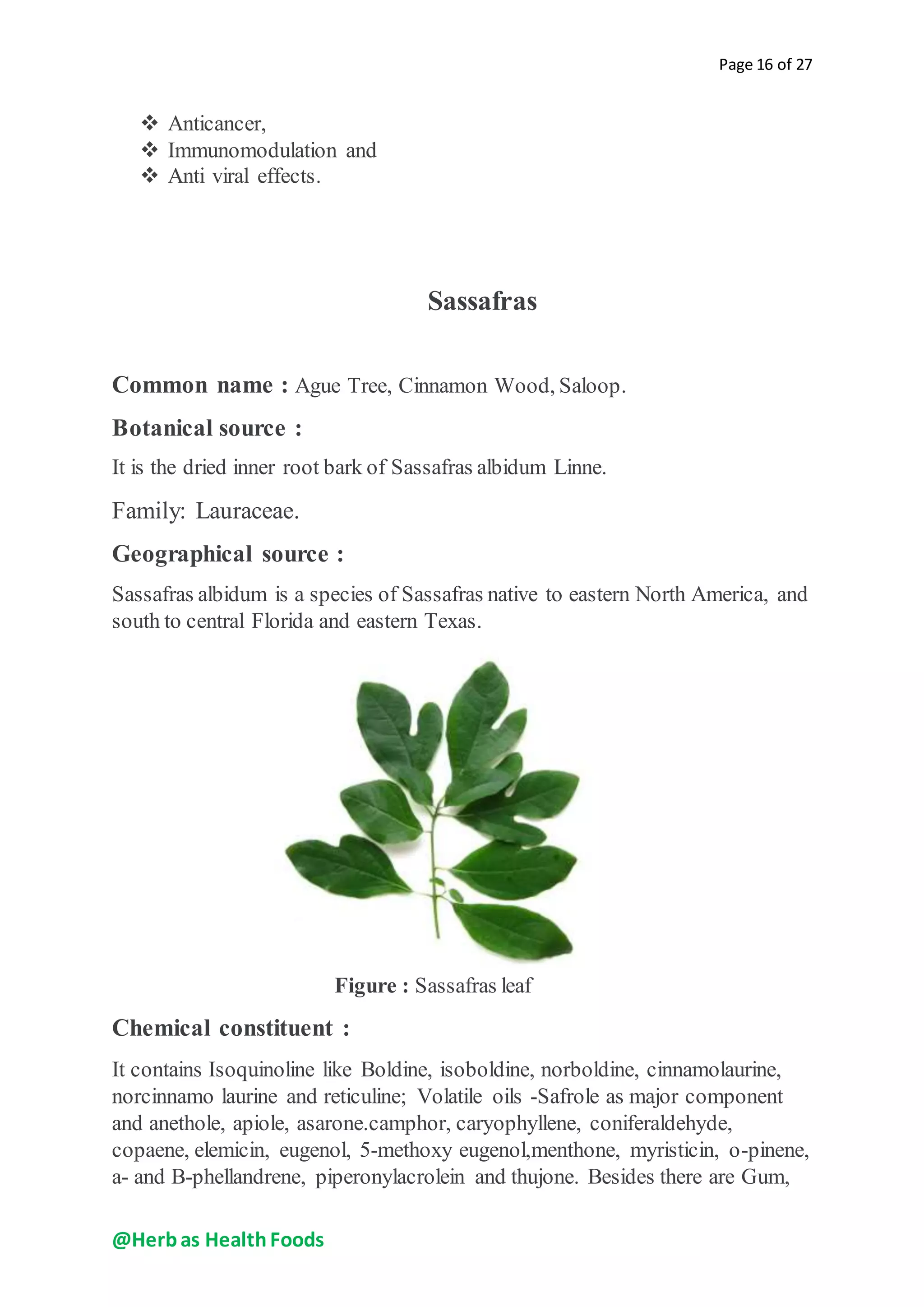 Herbs as health foods | DOCX