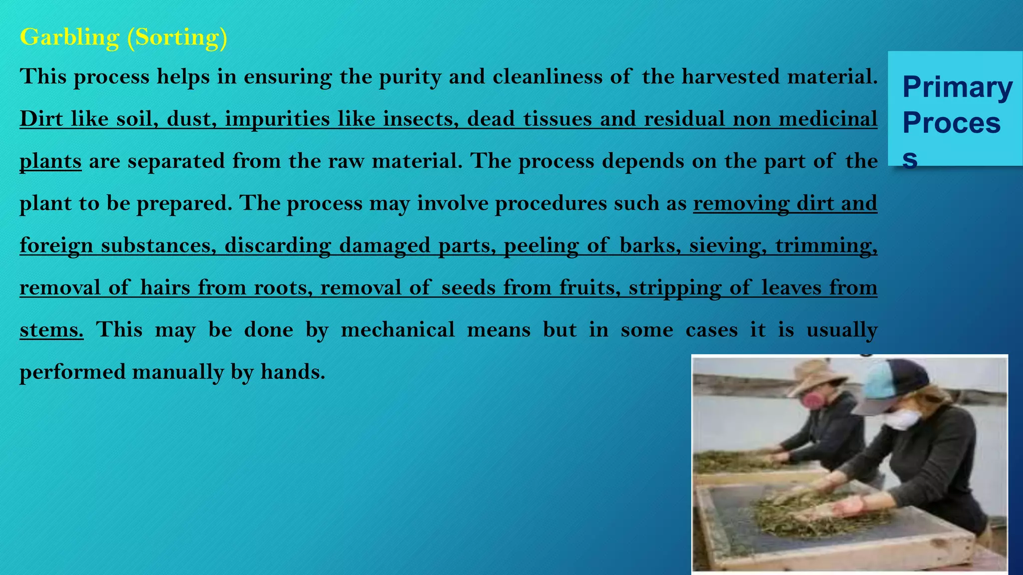 Herbs as raw material.pdf