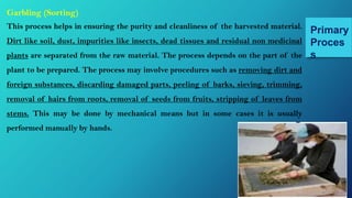 Herbs as raw material.pdf