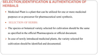 Herbs as raw materials | PPTX