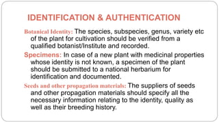 Herbs as raw materials | PPTX