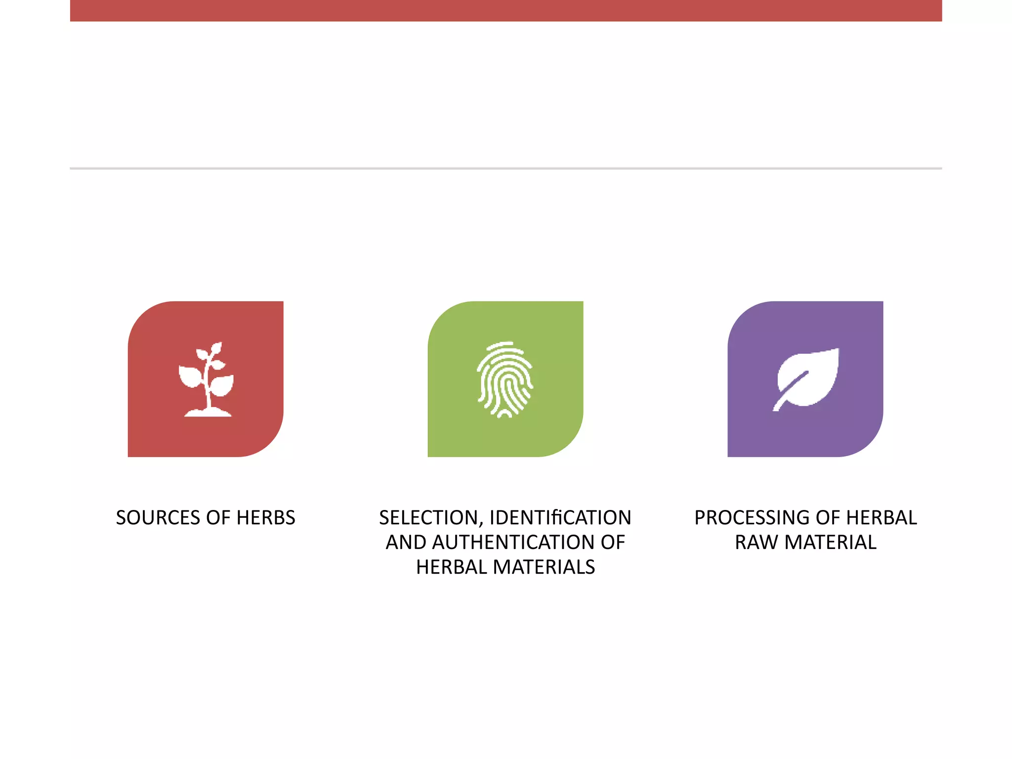 Herbs as Raw Materials | PPTX