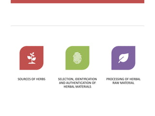 Herbs as Raw Materials | PPTX