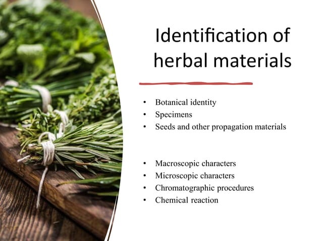 Herbs as Raw Materials | PPTX