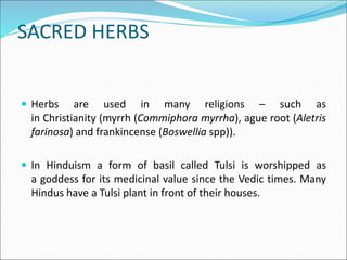 Herbs as raw materials.ppt