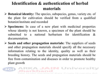 Herbs as raw materials | PPTX