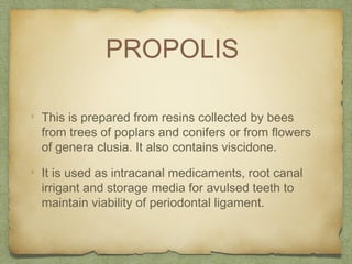 Herbs in Endodontics (Dentistry) | PPT