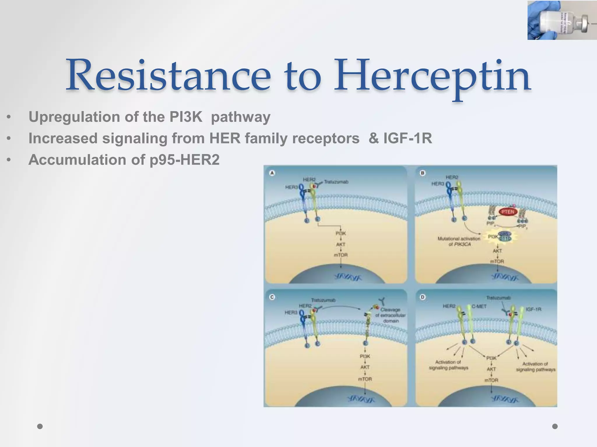 Herceptin | PPTX