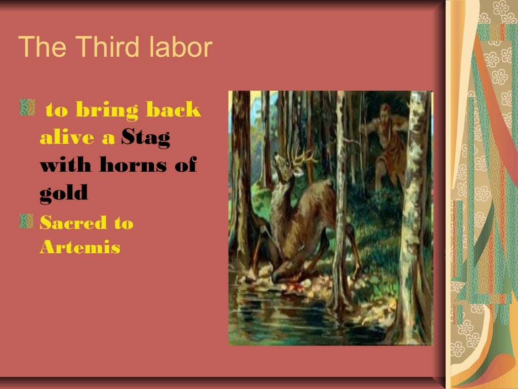 Hercules and his Twelve Labors