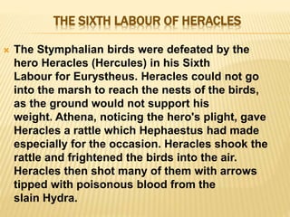 Hercules 12 labour | PPTX