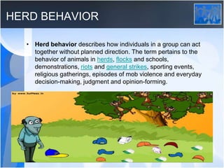 Herd behabior and housing bubble | PPT