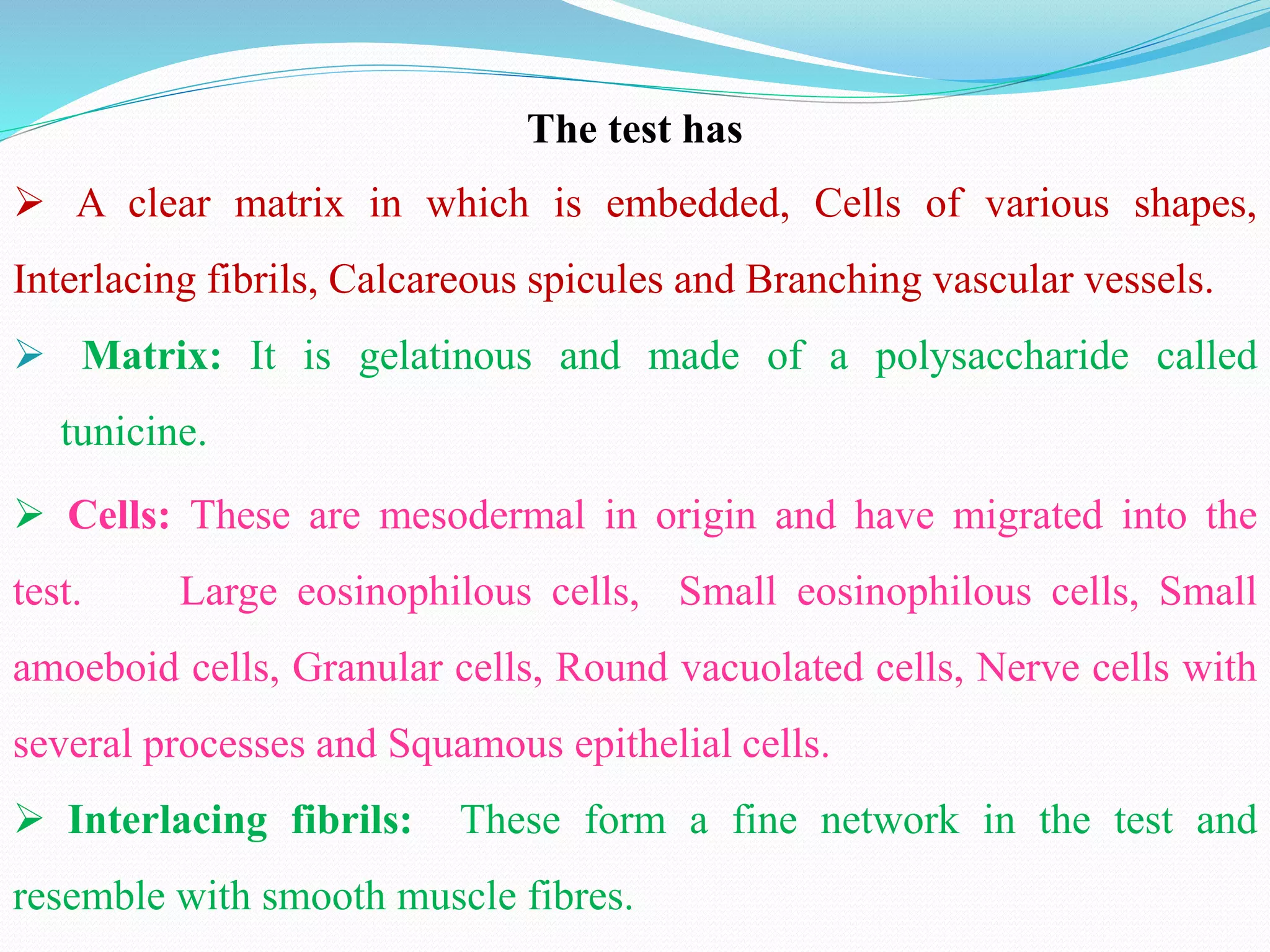 Herdimania structure | PPTX