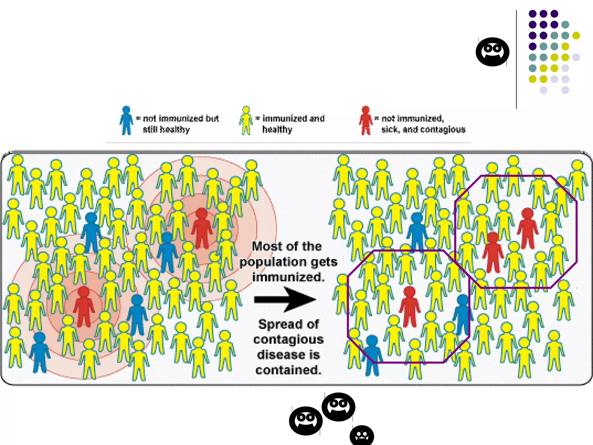 Herd immunity final4 | PPT