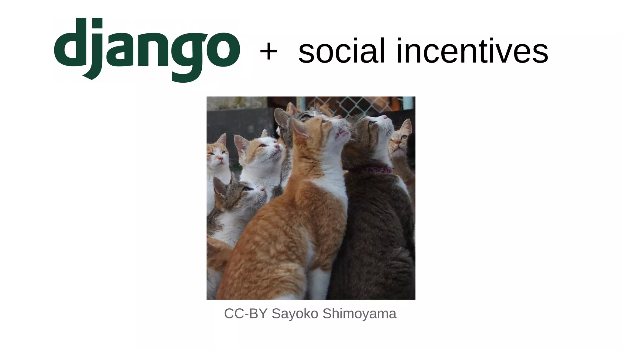 Herding cats with django | PPT