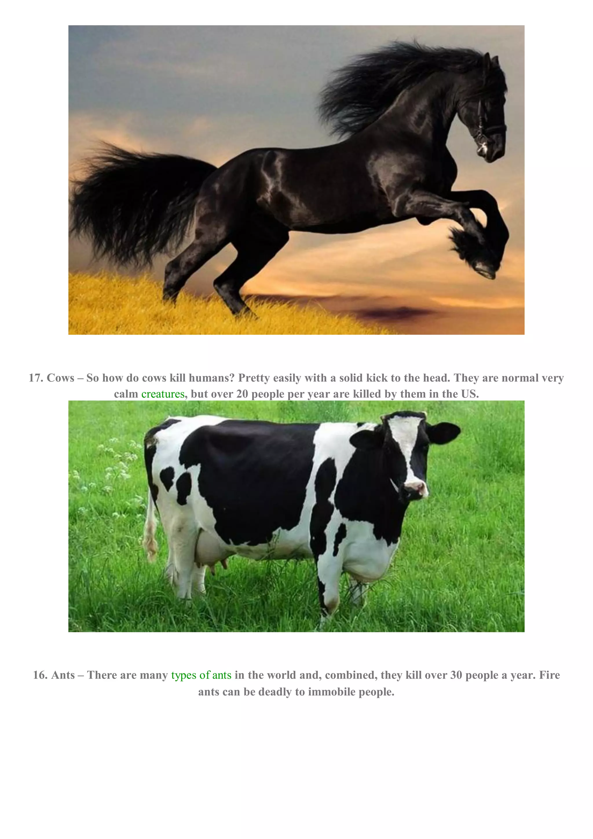 Here are the top 19 animals that kill the most humans | PDF