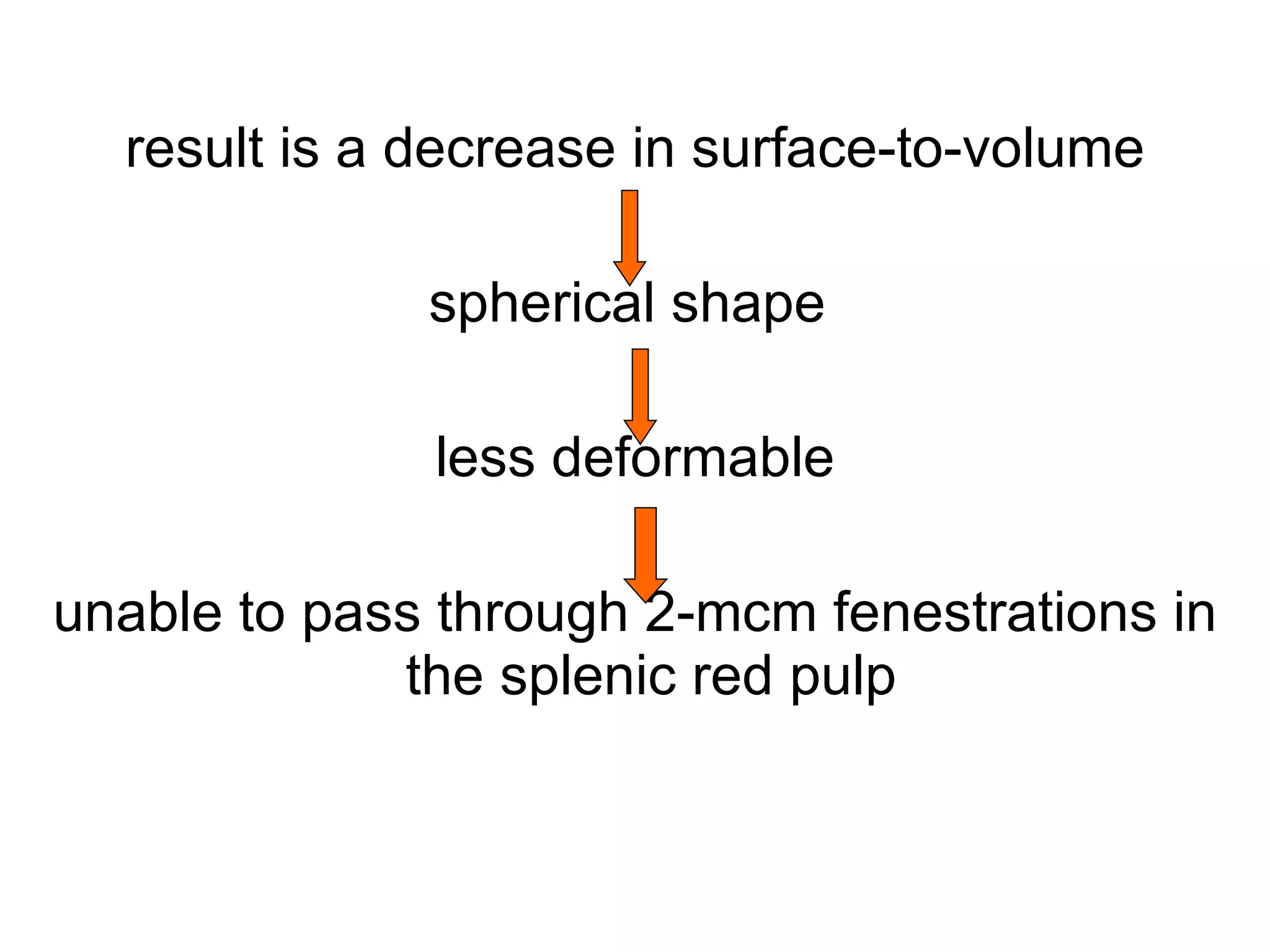 Hereditary Spherocytosis | PPT